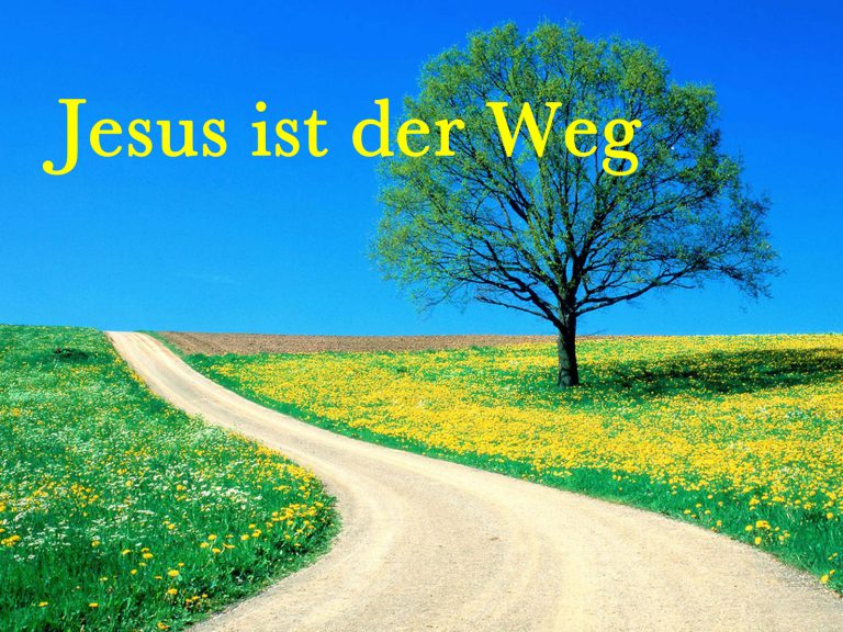 Der eine Weg | Zeltmacher